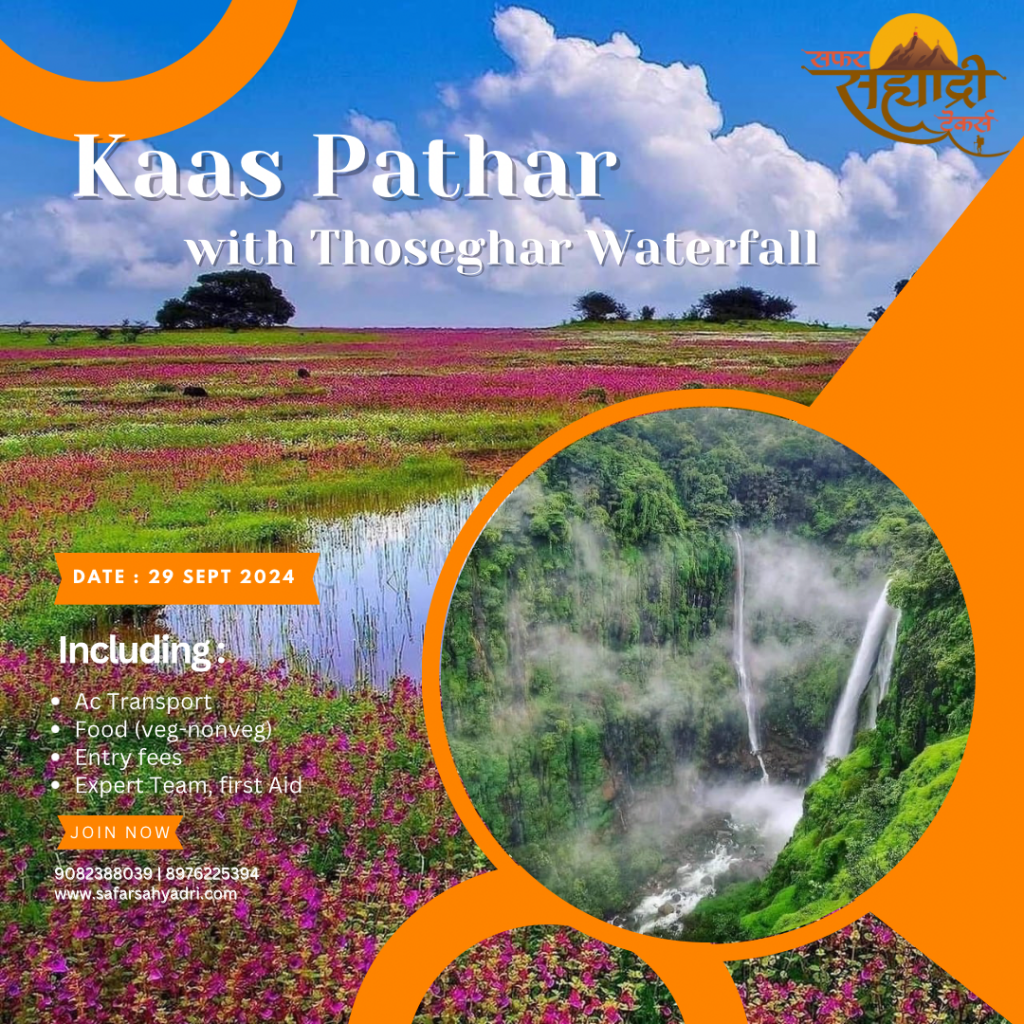 Kaas Pathar with Thoseghar Waterfall - Safar Sahyadri Trekkers ...